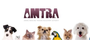 News about AMTRA and SQPs